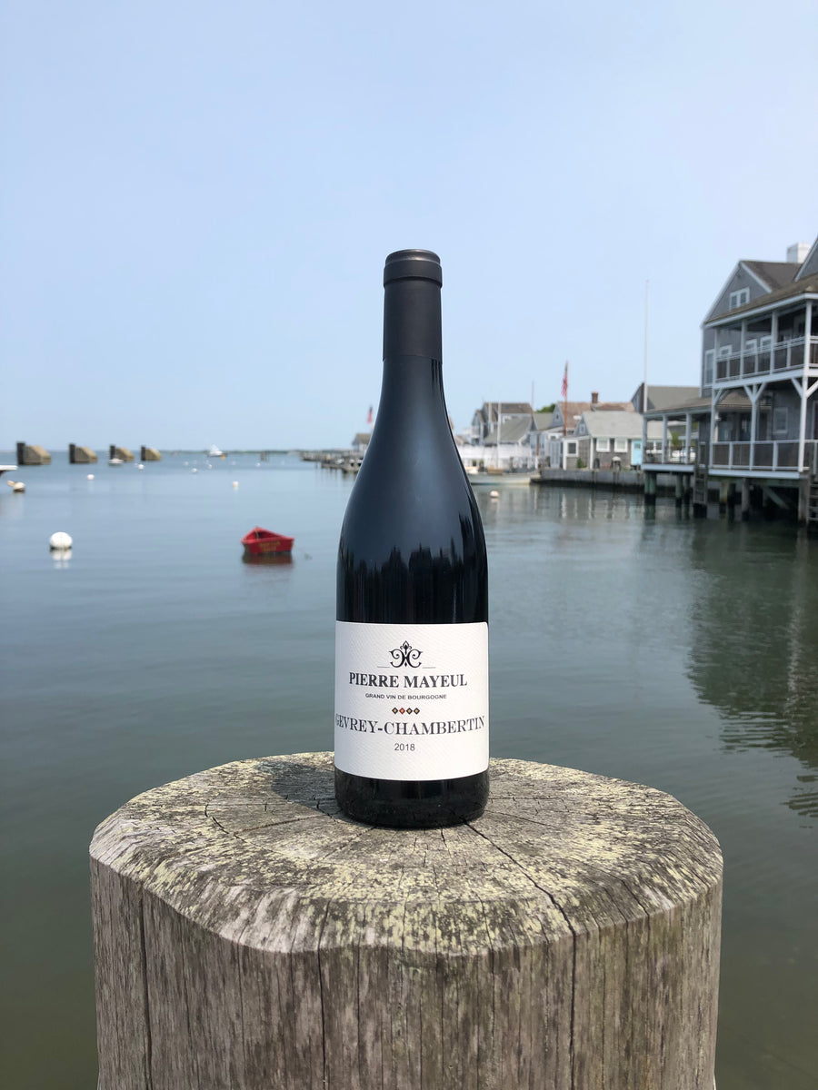 Pierre Mayeul Gevrey-Chambertin 2018 – Current Vintage