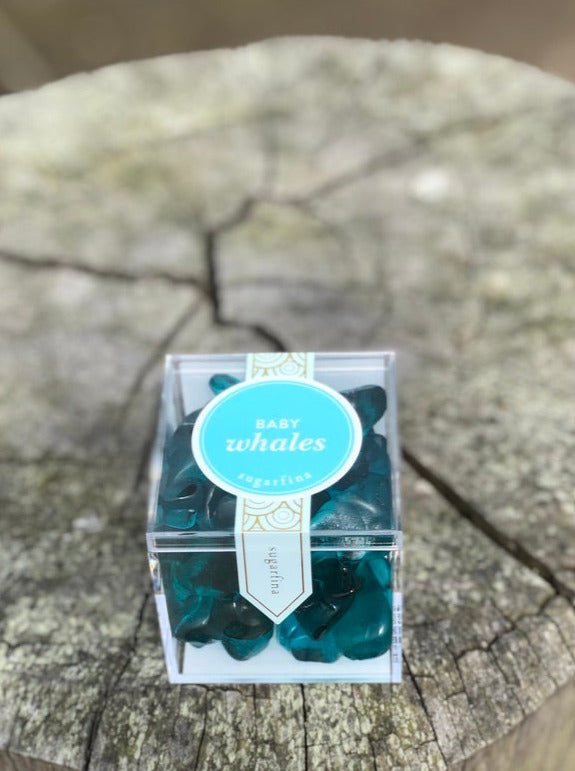 Baby Whale Gummies – Current Vintage